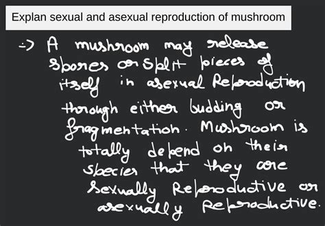 Explan Sexual And Asexual Reproduction Of Mushroom Filo