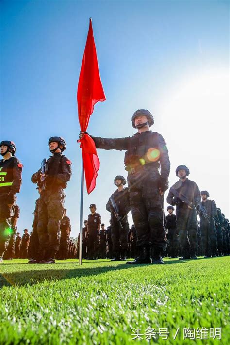 鏡頭中的震撼丨向保家衛國的戰士們致敬 每日頭條