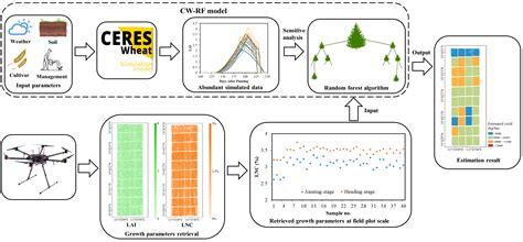 Integration Of Crop Growth Model And Random Forest For Winter Wheat Yield Estimation From Uav