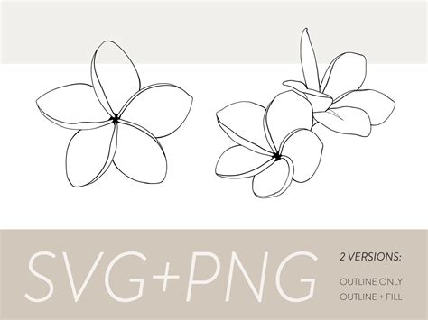 Plumeria Line Art Clipart Summer Tropical Flower Hand Drawn Svg Png Clipart Minimal Fine Line