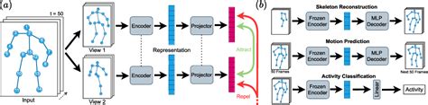 Figure 1 From Contrastive Self Supervised Learning For Skeleton Representations Semantic Scholar