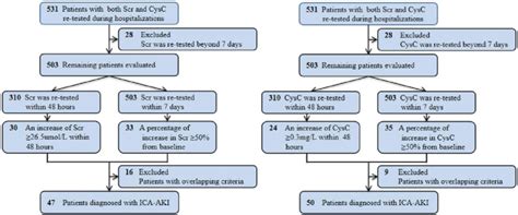 Flow Chart For Diagnosis Of Conventional Ica Aki By Scr Left Panel Flow Chart For Diagnosis Of Conventional Ica Aki By Scr Left Panel