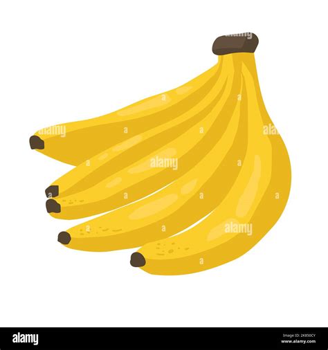 Cartoon Bananas Peel Banana Yellow Fruit And Bunch Of Bananas Tropical Fruits Banana Snack
