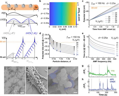 Magnetoelectric Nanodiscs Enable Wireless Transgene Free Neuromodulation Pmc