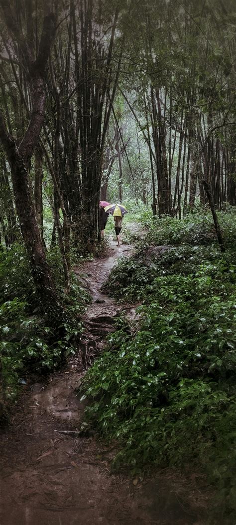 Daljeet Singh Photography