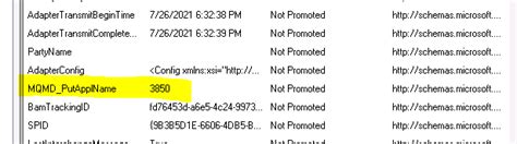 Ibm Mq Biztalk Mqseries Mqsc Context Property Mqmdputapplname Issue
