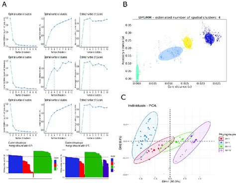 Clustering Of Strains Into Phylogroups A I Iii Partition Around