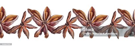 흰색 배경에 매끄러운 림 수채화 바디안 디저트 또는 음료 요리 책 또는 주방 장식을위한 손으로 그린 조미료 아니스 아로마 브라운 크리스마스 음식 벽지 포장을위한 향기로운