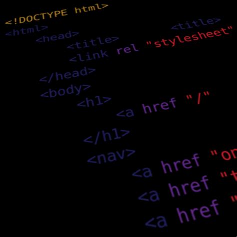 Base Website Page Theme Template Design Set Up