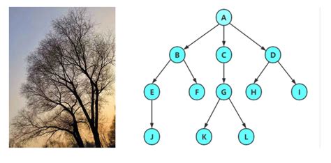 【数据结构】——介绍树树的子结构表示分子原子离子电子量子 Csdn博客