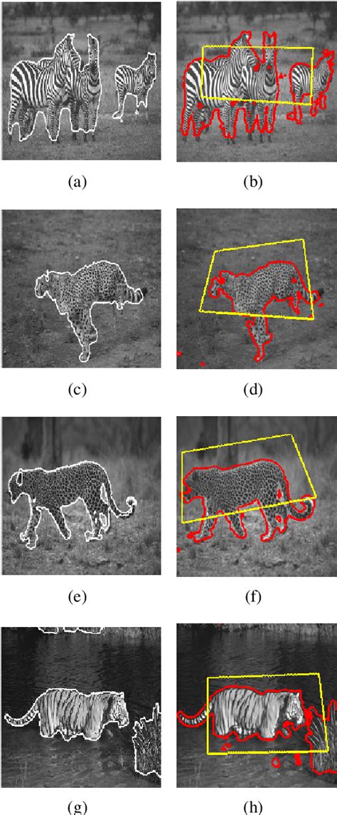 A Novel Active Contour Model For Texture Segmentation
