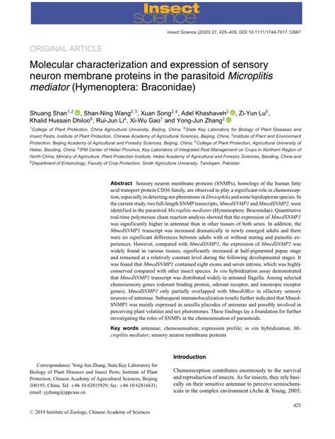 Pdf Molecular Characterization And Expression Of Sensory Neuron