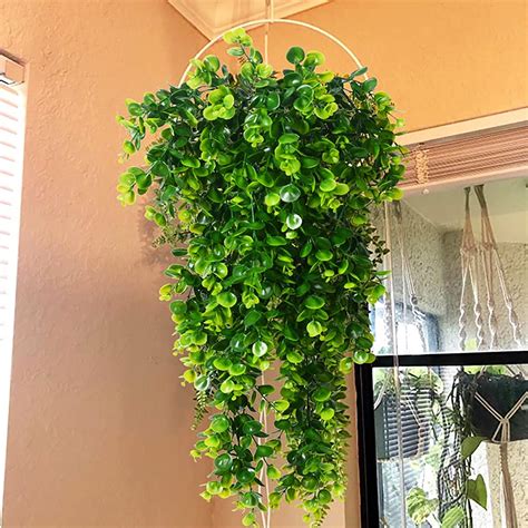 Ivy Swag