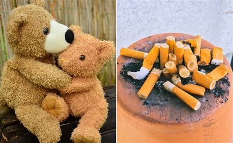 This Indian Factory Makes Soft Toys From Cigarette Butts Daily Expert