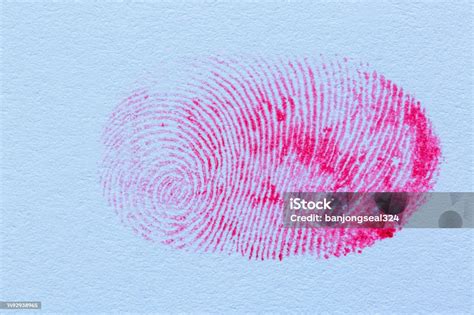 빨간 지문 흰 종이에 빨간 지문 배경으로 피 묻은 지문 매크로 집게 손가락의 각인 0명에 대한 스톡 사진 및 기타 이미지 0