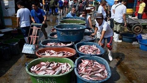 Bentahan Ng Isda Nabarya Mangingisda Umalma Saksipinas