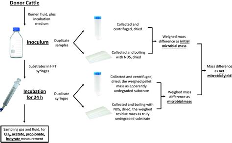 Inoculum Microbial Mass Is Negatively Related To Microbial Yield And Positively To Methane Yield