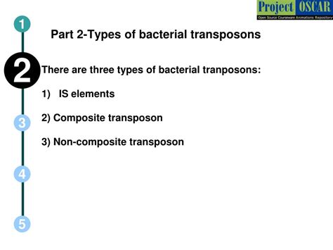 Ppt Bacterial Transposons Powerpoint Presentation Free Download Id 7049052