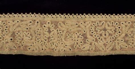 Border Unknown Vanda Explore The Collections