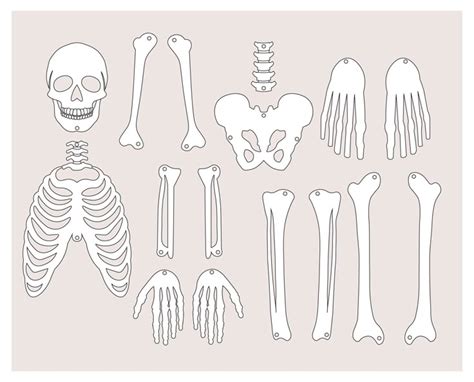 Free Printable Skeleton Template Cut Out Printables