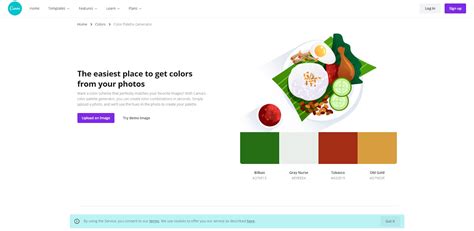 Apa Itu Color Pallete Ini Arti Tips Dan Rekomendasi Websitenya