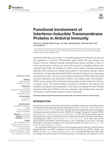 Pdf Functional Involvement Of Interferon Inducible Transmembrane