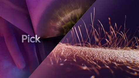 Pick Ident Tension Tvark