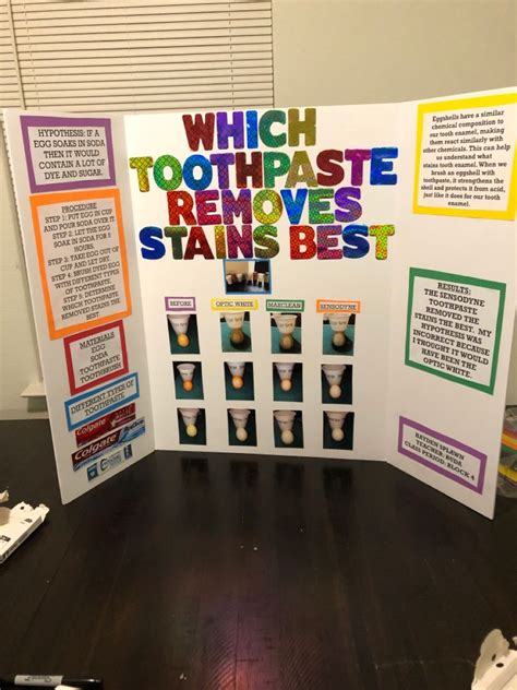 science project artofit