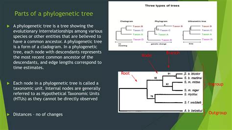 Bioinformatics Pptx