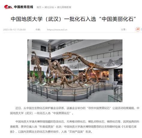 中国教育在线中国地质大学武汉一批化石入选中国美丽化石 中国地质大学逸夫博物馆