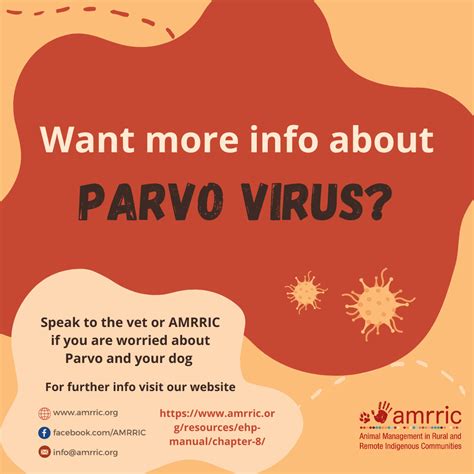 Parvo Virus Community Education Resources Amrric