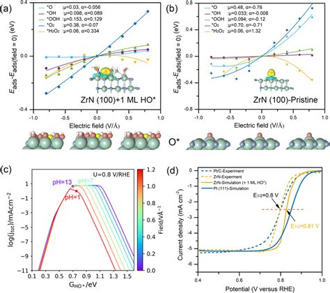 Electric Field Effects And Ph Dependent Microkinetic Modelling A