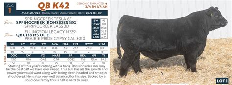 National Beef Wire Lot 1 Sells For 40 000 At The Quandt Brothers