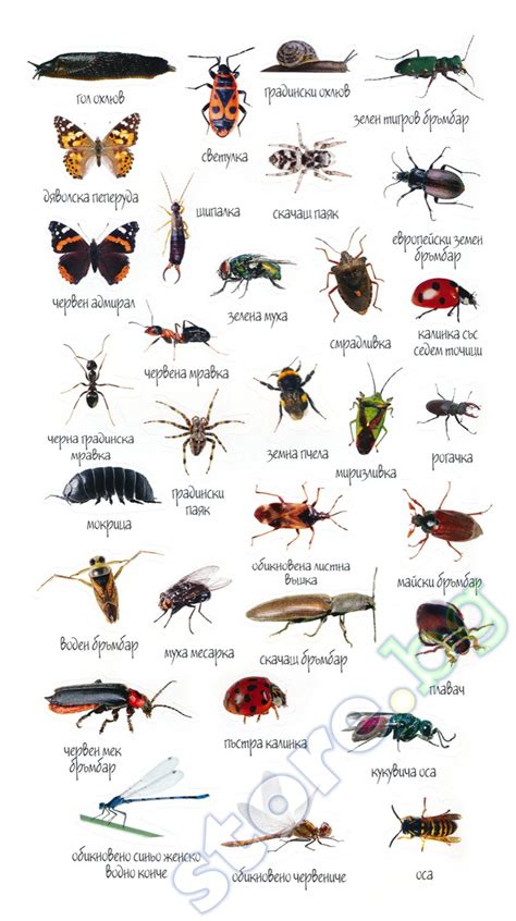 Store Bg 365 занимателни игри на открито 100 стикера детска книга