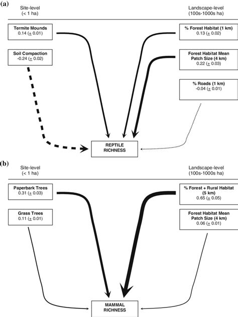 Path Diagrams Showing Average Parameter Estimates And Unconditional