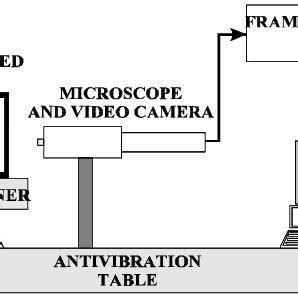 Schematic Illustration Of Drop Shape Method Download Scientific Diagram