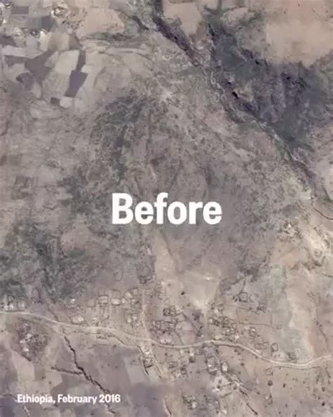 Leandro Sciuto On Linkedin Ecosia Before And After