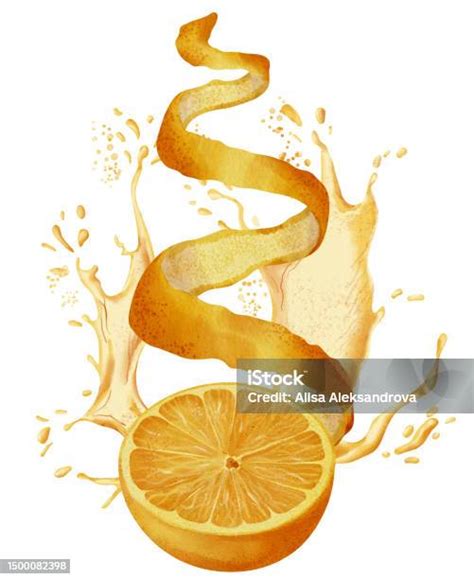 주스 스플래쉬와 껍질을 곁들인 오렌지 과일 조각 감귤류 음식의 절반과 하얀 고립된 배경에 대한 풍미의 손으로 그린 수채화 그림 귤 라벨에 대한 열대 만다린 그림 오렌지