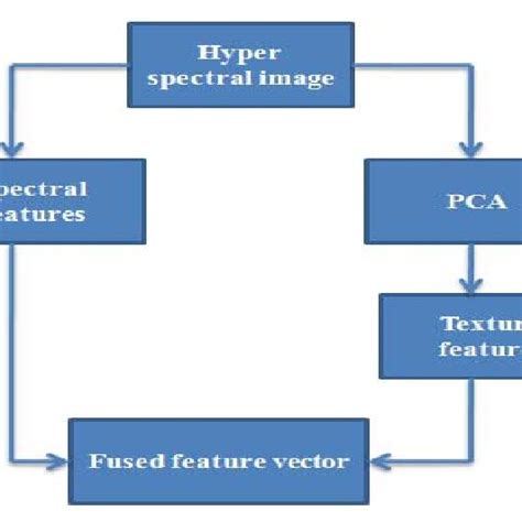 Feature Extraction Using Texture Download Scientific Diagram