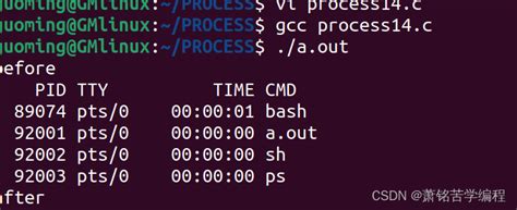System函数和popen函数 Csdn博客