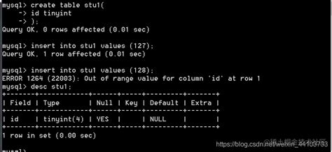 Mysql Data Type And Column Properties Moment For Technology