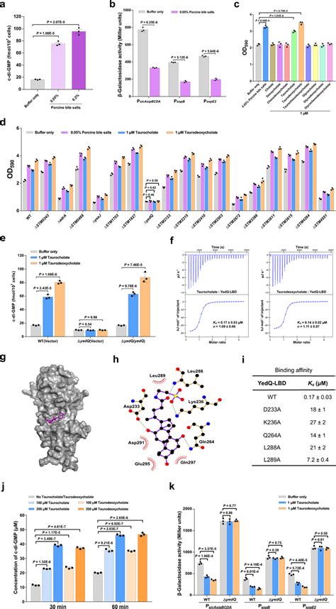 Bile Components Taurocholate And Taurodeoxycholate Repress The Download Scientific Diagram