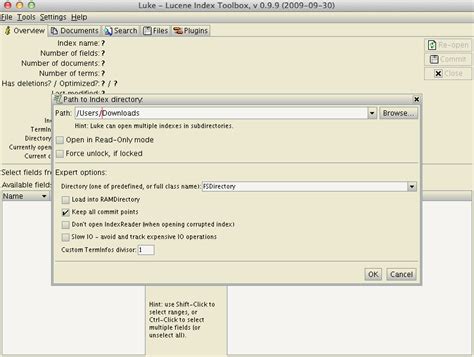 Hibernate Search Luke Access My Lucene Index In Ram Stack Overflow
