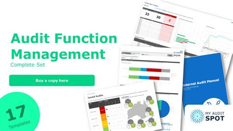 Special Offer To Help You Manage Your Audit Function My Audit Spot