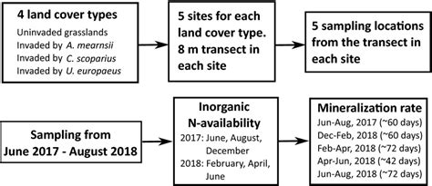 A Summary Of The Spatial And Temporal Sampling Strategy Employed In The Download Scientific