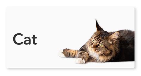 Pet Gate Dog Gate Pawz Australia