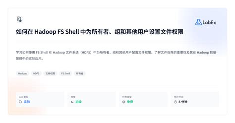 如何在 Hadoop Fs Shell 中为所有者、组和其他用户设置文件权限 Labex