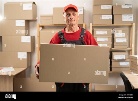 Elderly Post Office Employee Carries Large Package Box During His Workday In Delivery Logistics