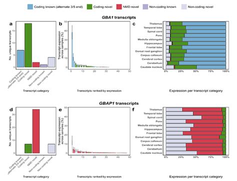 Targeted Long Read Rna Sequencing Of Gba1 And Gbap1 Identifies Frequent Download Scientific