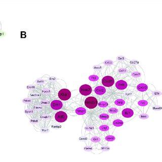 The Clusters Using MCODE Via Cytoscape Software Based On RNA Seq Download Scientific Diagram